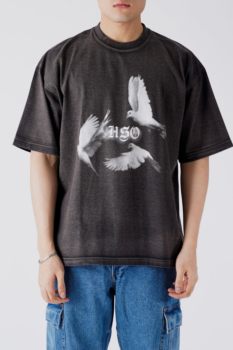 VINTAGE GRAPHIC TEE - DOVE – HSO